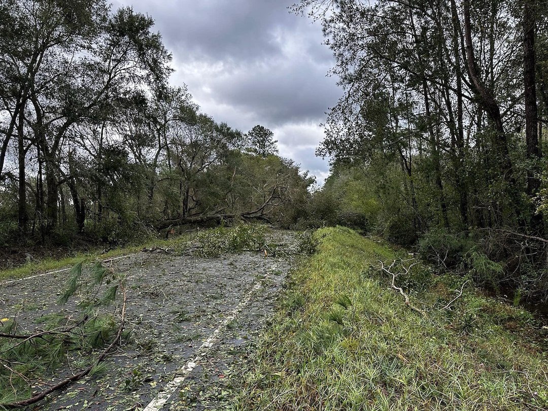 Storm Damage Recovery in South Georgia